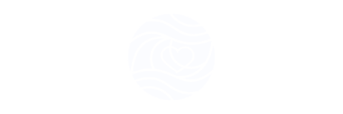 The RADZ Group | Dedicated to Raising Collective Impact!